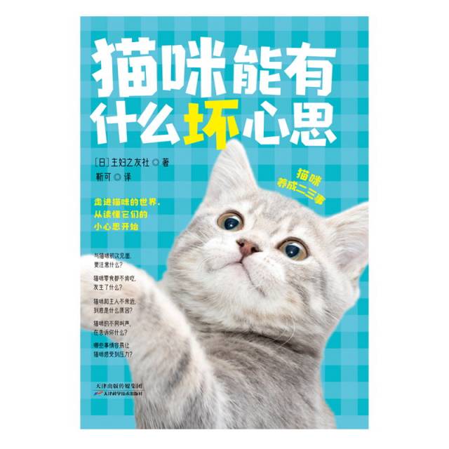 What bad thoughts can cats have? Two or three things to do in cat ...