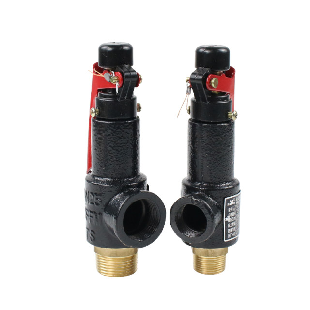 Spring type threaded safety valve A27W-10T/16T gas tank cast iron safety valve DN15 20 25 32