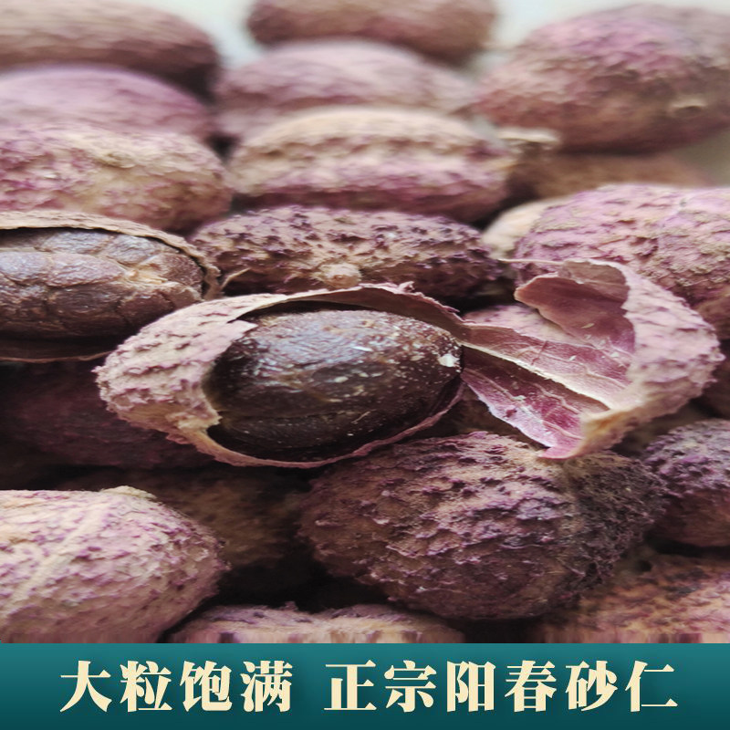 Authentic Yangchun Amomum Wild Dried Fruit | Stomach Nourishing Snack