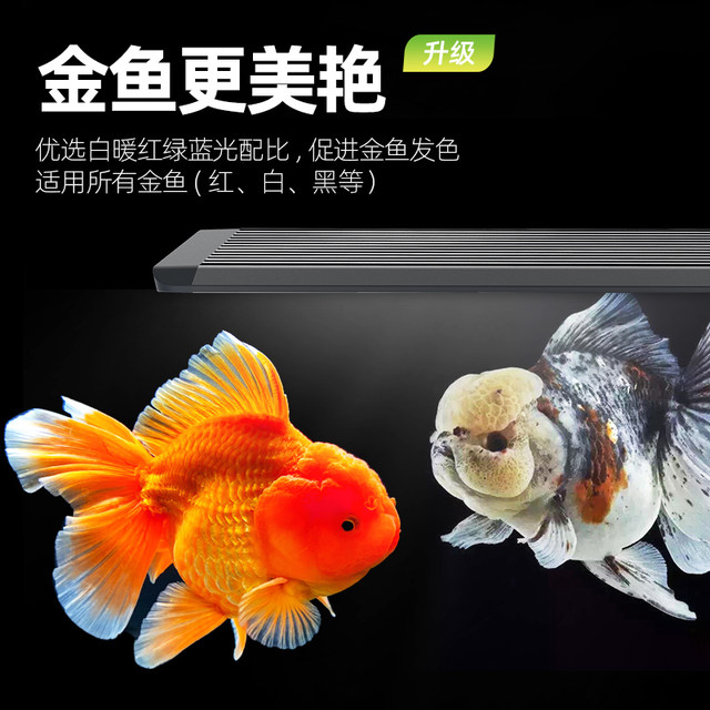 Jiyin goldfish lamp special algae bursting lamp fish tank lamp lighting ...