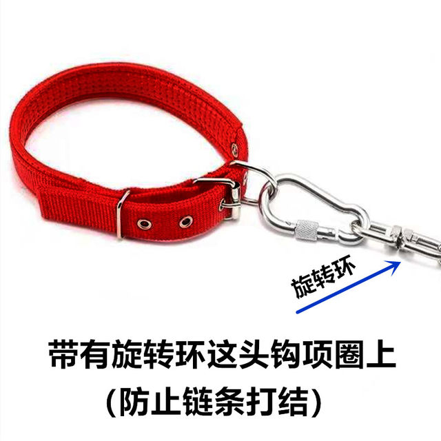 304 Stainless Steel Dog Chain Golden Retriever Large Iron Chain Medium ...