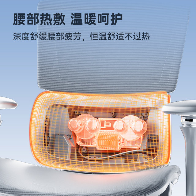 Henglin Cozy Pro Electric Massage Chair Ergonomic Chair Computer Chair ...