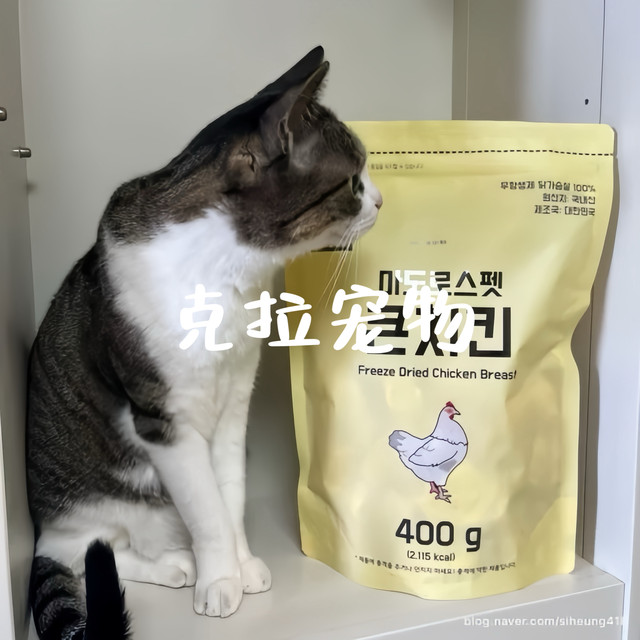Carat Pet Spot Matroos Korean Pet Cats and Dogs Snacks Special Cod ...