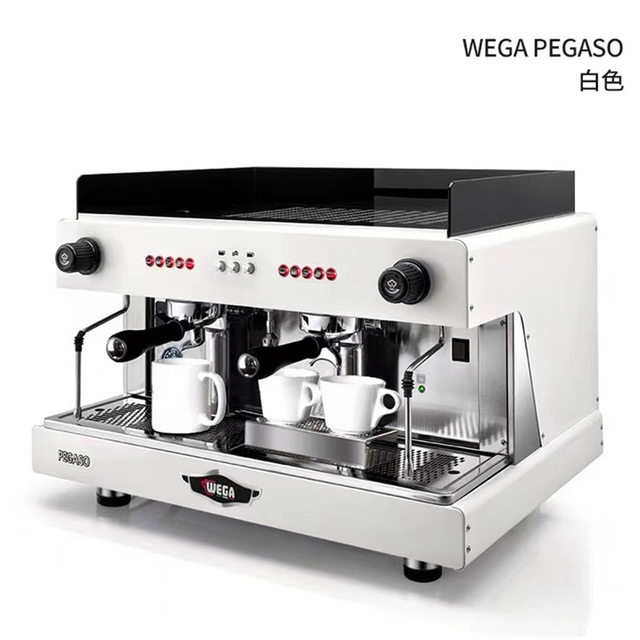 Italian imported WEGA pegaso Picasso E61 commercial double-head electronically controlled ...
