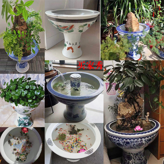 Ceramic Blue Basin Pillar Under -Pillar Fish Tank Extreme Golden Fish ...