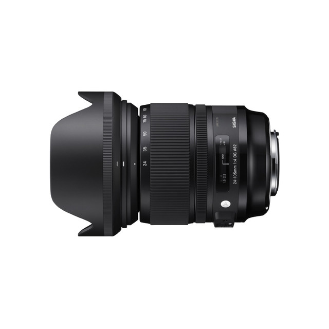 Sigma/Sigma 24-105mm F4Art standard zoom hanger portrait hanger lens