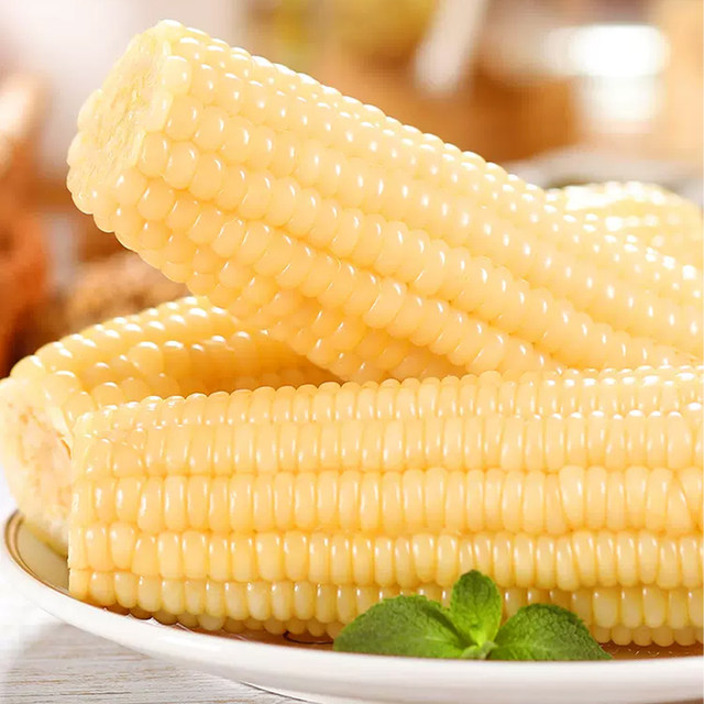 Northeastern white glutinous sweet sticky corn cobs fresh 10 sticks 8 ...