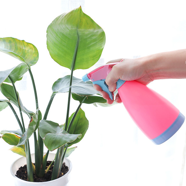 Alcohol spray bottle spray bottle watering flowers special disinfectant ...