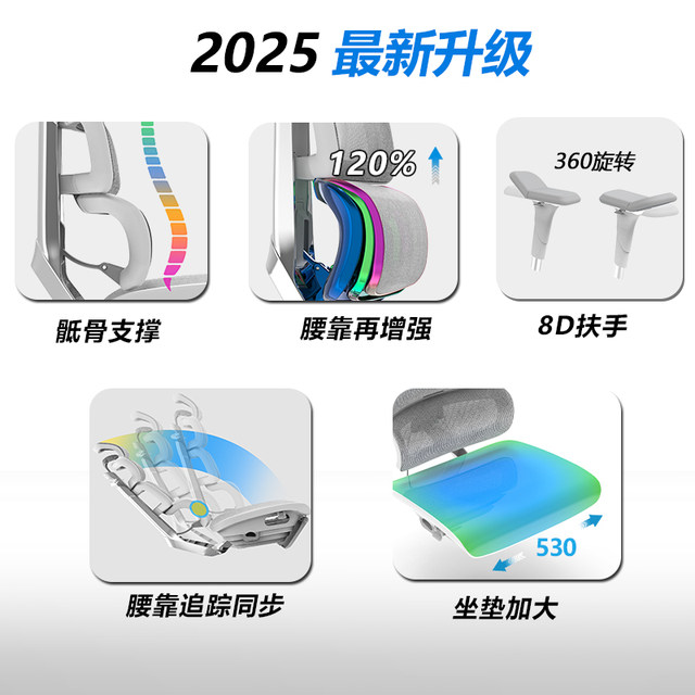 Ergomax Evolution 2+Gaomax Sponge Seat Computer Chair Ergonomic Chair E ...