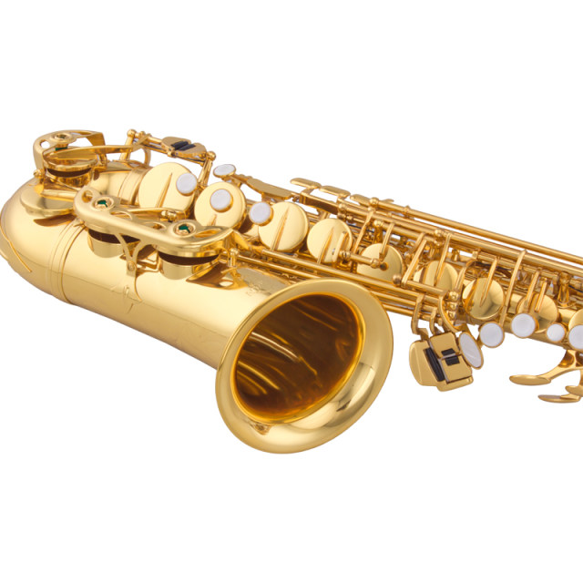 Taishan Zhongyin Saxor Tube Musical Instrument Wind TSAS-760 test ...