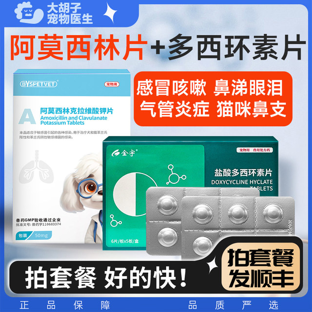 Imported Suno Anti-inflammatory Tablets for Cats with Nasal Brain Cat ...