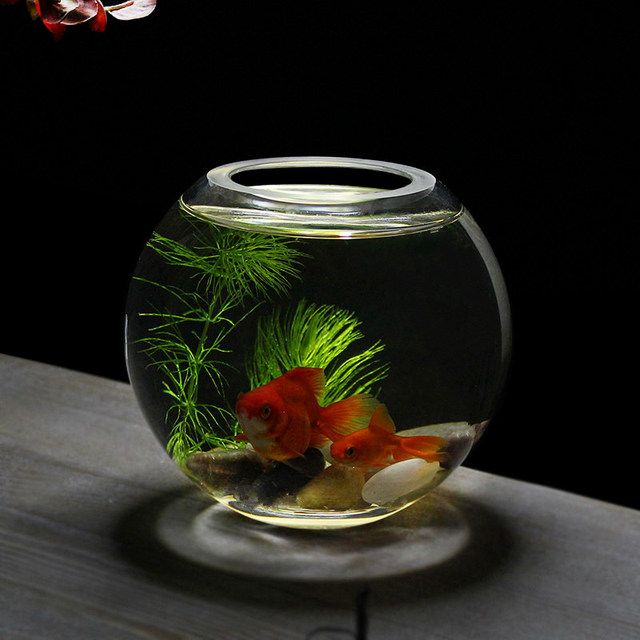 Qiyi Household small fish tank glass fish tank intensive circular ...