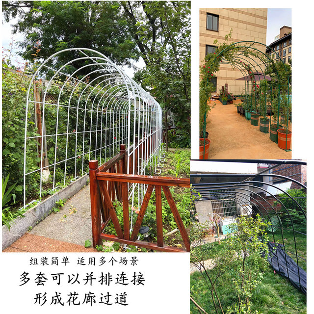 Wrought iron arch flower stand climbing vine stand grape stand garden ...