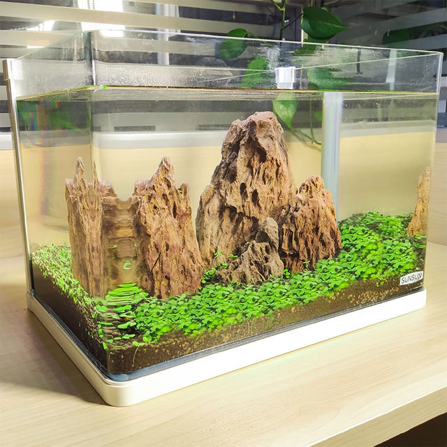 Sensen hot-bent fish tank, no need to change water, lazy ecological ...