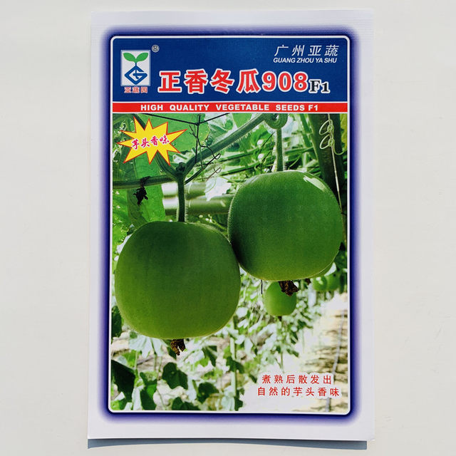 Taro small winter melon seeds high yield thick meat mini winter melon ...