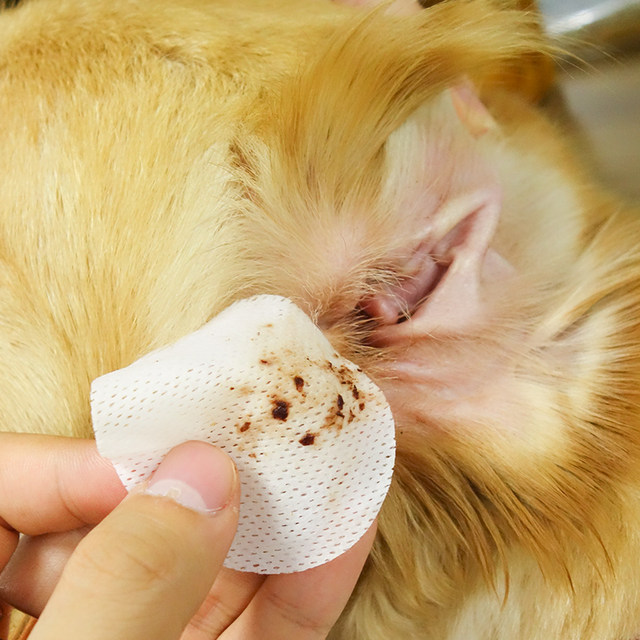 Piri Ear Wipe Cat Cleaning Ear Wax Golden Retriever Teddy Samoyed Ear ...