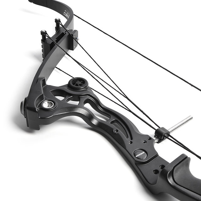 New Junxing F164 Eagle Bow American Hunting Bow Recurve Bow Adjustable ...