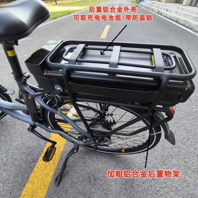 ZX200 power-assisted bicycle variable speed long-distance travel ...