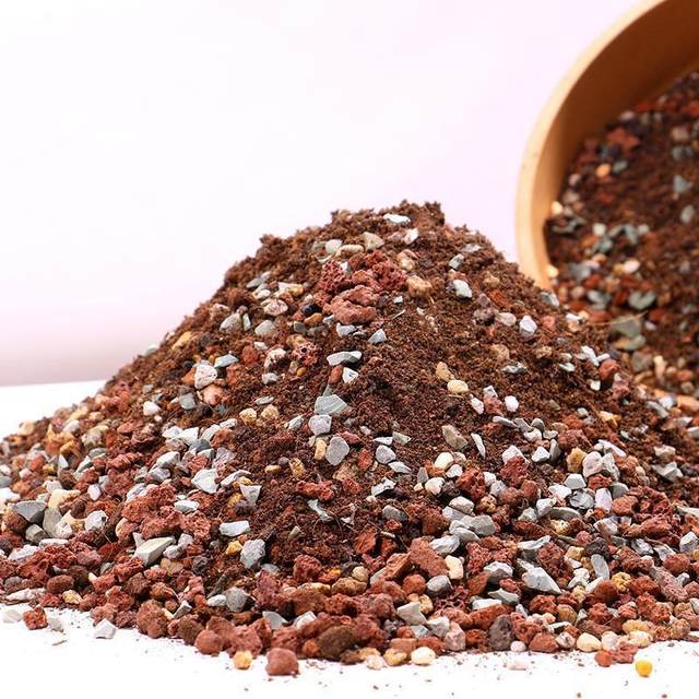 Succulent granular soil nutritious soil planting imported peat soil ...