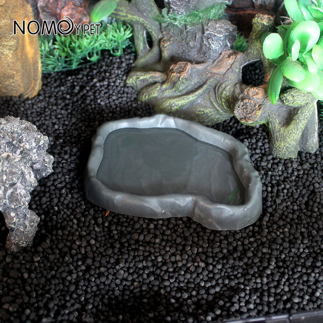 NOMO Noromo Crazy Pets Ridies Drinking Lizard Lizard imitation rock ...