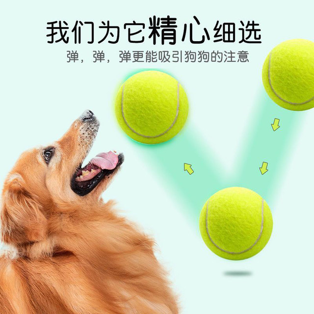 Dog toy ball, self-pleasure and boredom relief artifact, pet border ...
