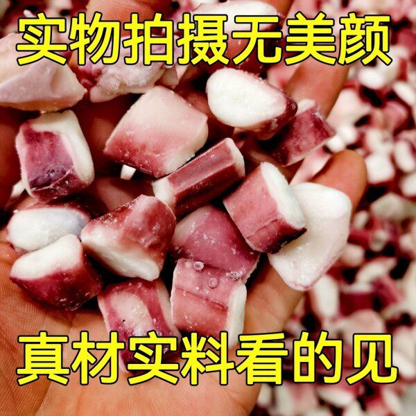 Squid pellets commercial octopus pellets ingredients frozen octopus ...