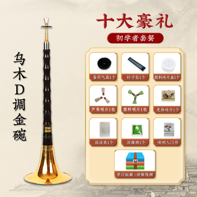 Wang Jiabiao Black Suona Musical Instrument Beginner full set of D ...
