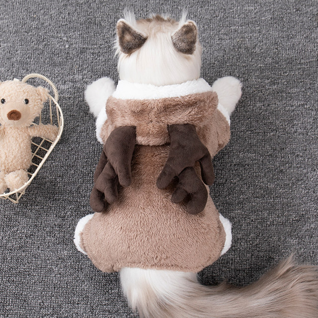 Cat clothes in autumn and winter thickened warm -warming, short blue ...