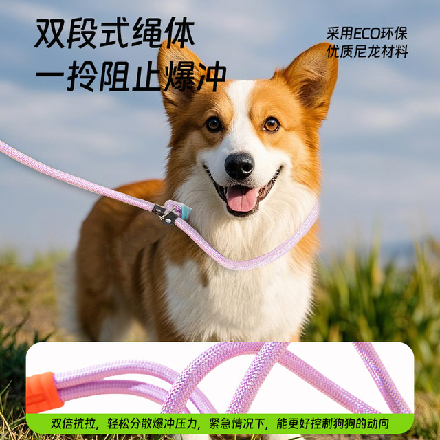 Multifunctional dog leash explosion-proof p-leash small dog anti ...