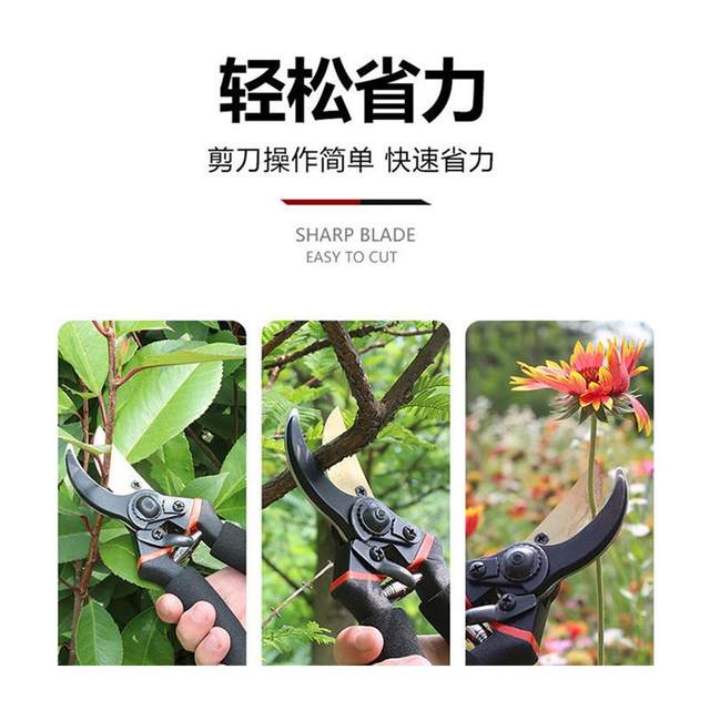 German fine craft garden scissors for branch cutting, pruning scissors ...