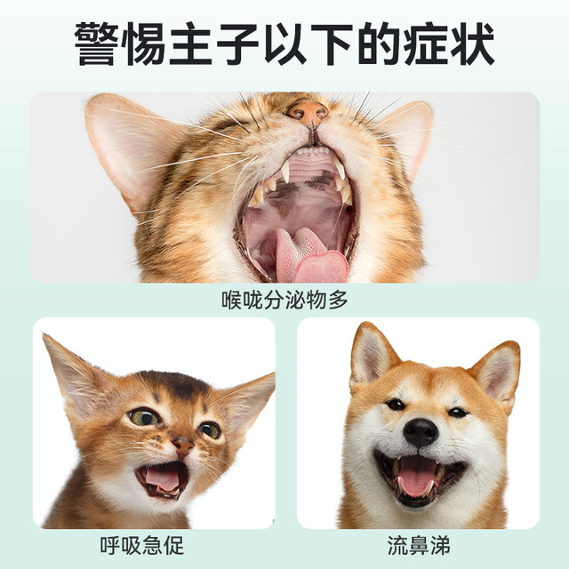 Newbegin Breathing Suspension Nutrient Solution 100ml for cats and dogs ...