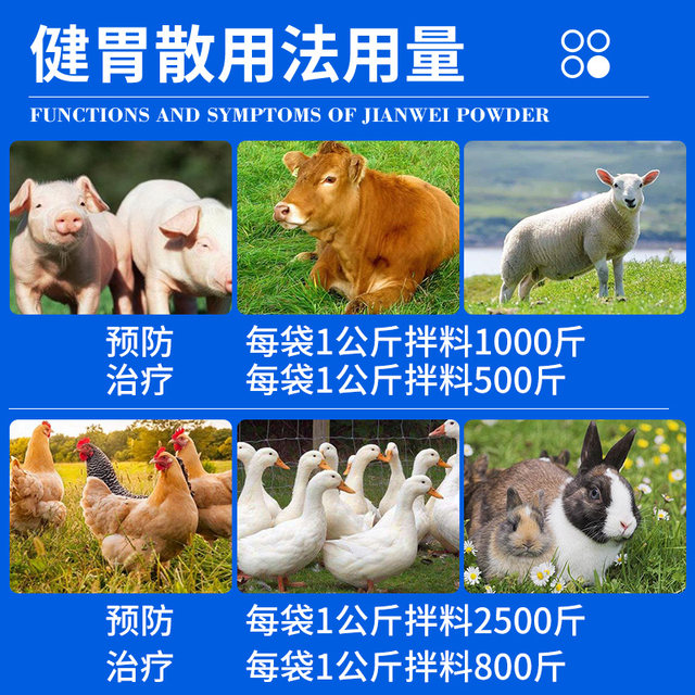 Animal husbandry, cattle and sheep, ruminant, stomach-building powder ...