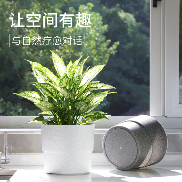 Cream Wind Plastic imitation ceramic porosity potted flower pot gallon ...