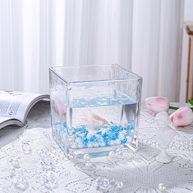 High-definition Thai fighting fish suitable tank full set of small ...