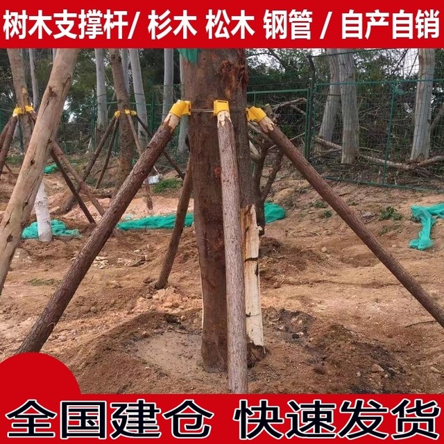 Trees support pole seedlings and wood garden planting trees and wooden ...