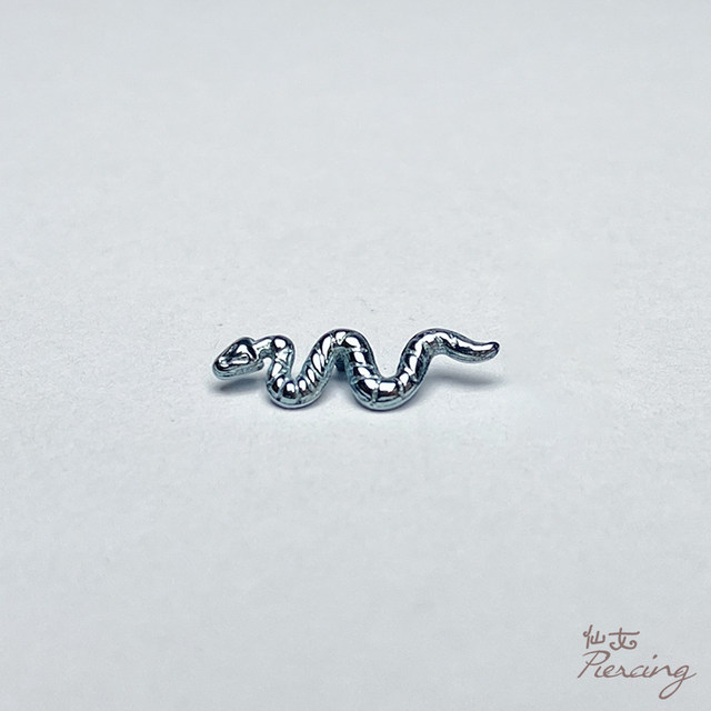 Sweet and Cool Snake Ear Bone Nail F136 Implant Grade Titanium Alloy ...