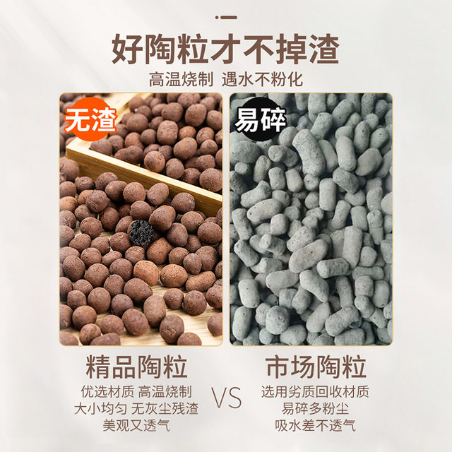 Ceramic granule bottom succulent clay granule granule planting ...