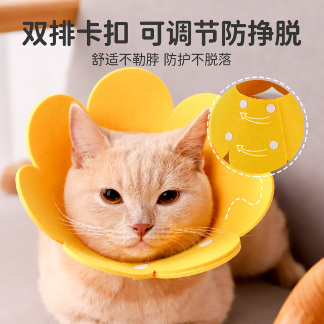 Elizabeth collar cat sterilization collar cat headgear anti-licking ...