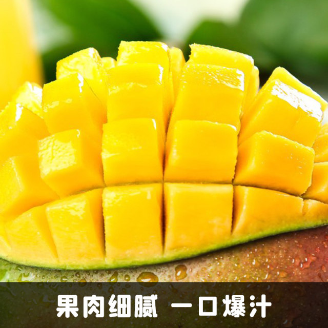 Premium Kate Mango Sichuan Panzhihua freshly picked large fruits sweet ...