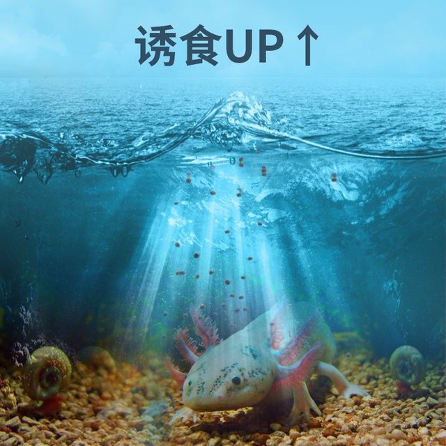 Yee hexagonal dinosaur feed hexagonal dragon doll fish, red worm fish ...