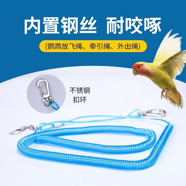 Birds use parrot to put flying ropes to traction ropes for walking ...