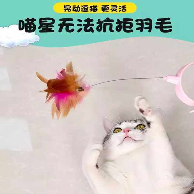 Cat automatic cat stick toy self -relief artifact cat cat neck ring ...