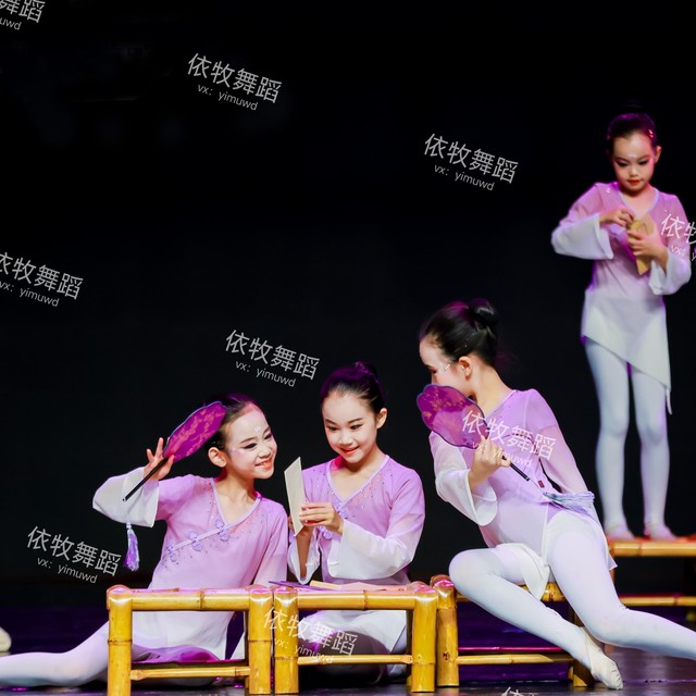 Acacia dance costume classical dance purple gauze dress practice ...