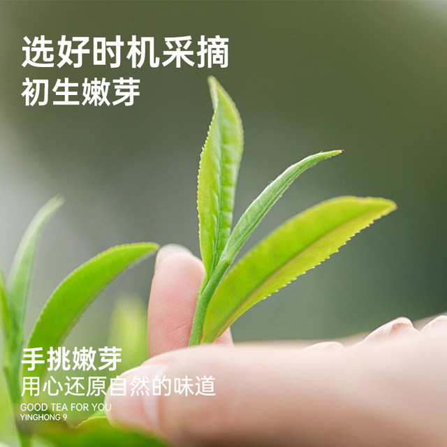 Bring Loulan Yinghong No. 9 black tea, authentic Yingde No. 9 core tea ...
