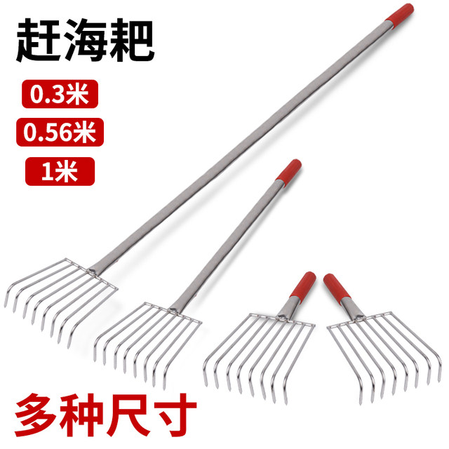 Professional sea catching tool for adults, clam digging rake, beach ...