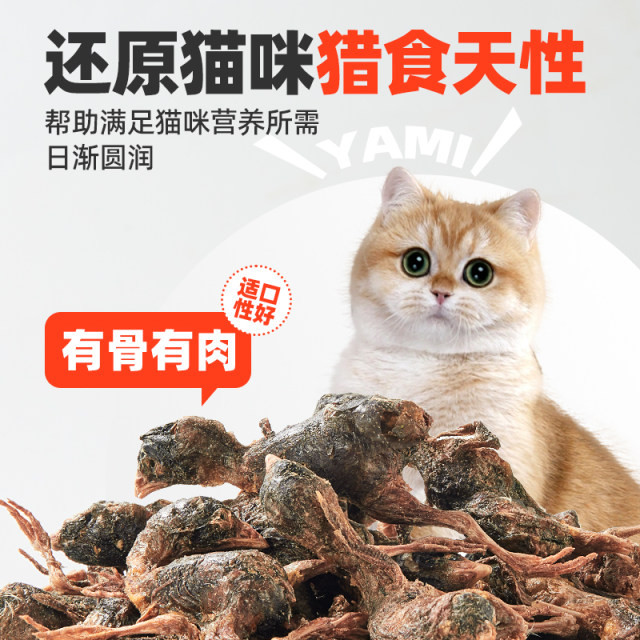 Cat snack frozen dry quail dog snack cat food increases fat hair and ...