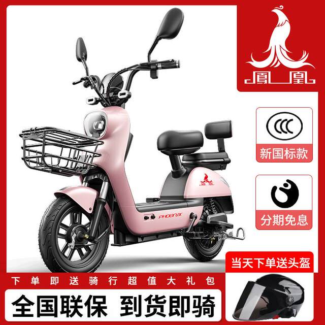Phoenix Electric Vehicle Small Car New Country Standard Adult Electric ...