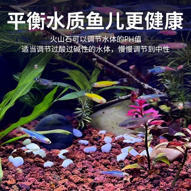 Volcanic stone fish tank special particle natural filter material fish ...