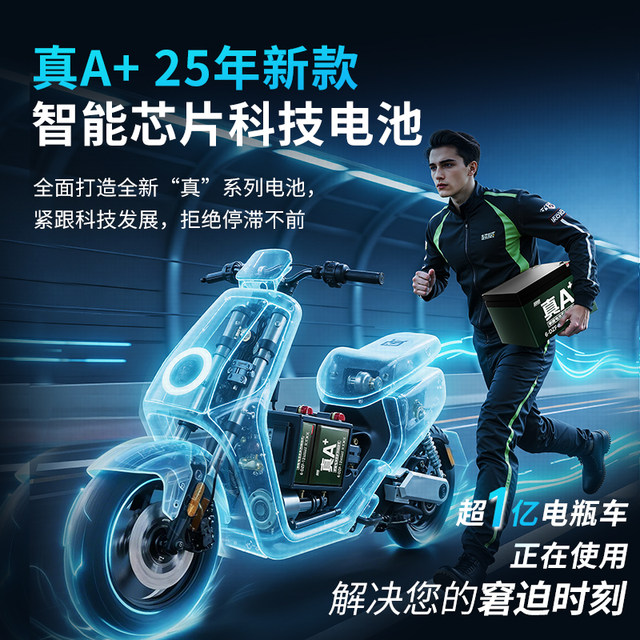 Chaowei Zhen A+48V lead-acid battery two-wheel electric vehicle battery ...