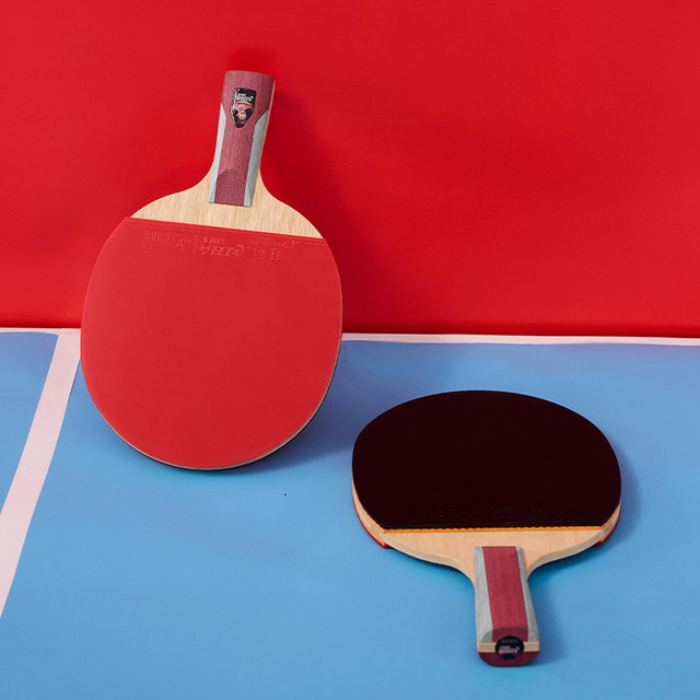 Hongshuangxi official flagship store Table tennis racket 56789 stars ...